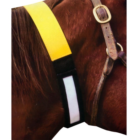 World Class Equine Reflective Horse ID Collar | Riding Warehouse