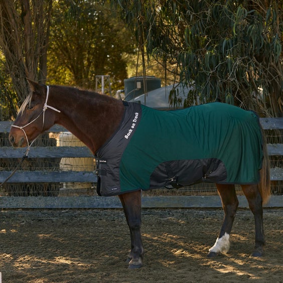 Back on Track - Riding Warehouse