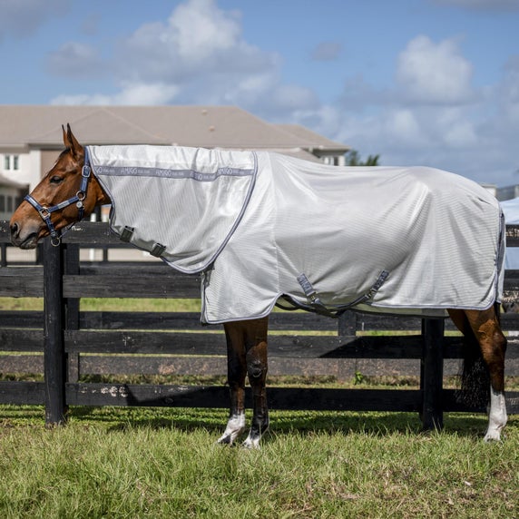 Horse Fly Sheets - Riding Warehouse