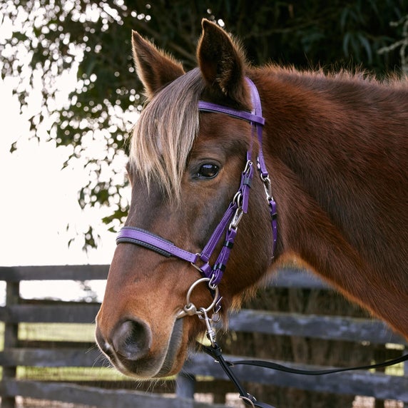 Halter Bridle Combinations - Riding Warehouse