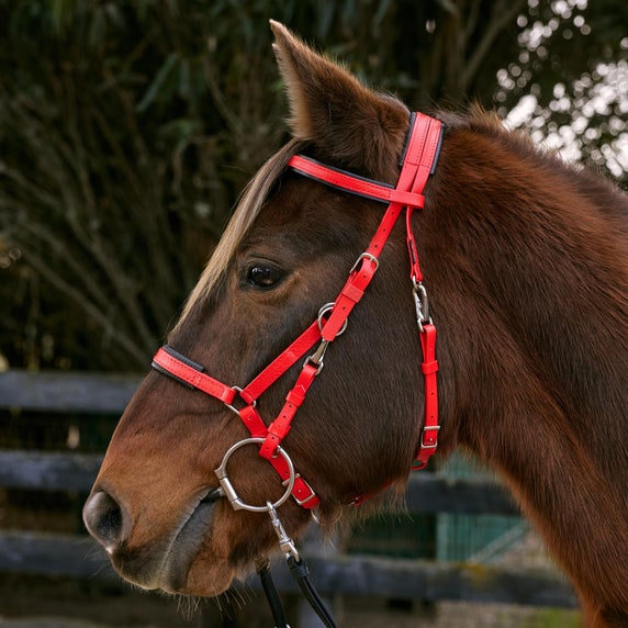 Halter Bridle Combinations - Riding Warehouse