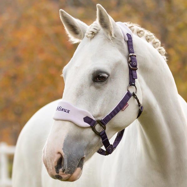 LeMieux Horse Halters & Lead Ropes - Riding Warehouse