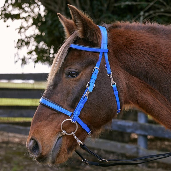 Halter Bridle Combinations - Riding Warehouse