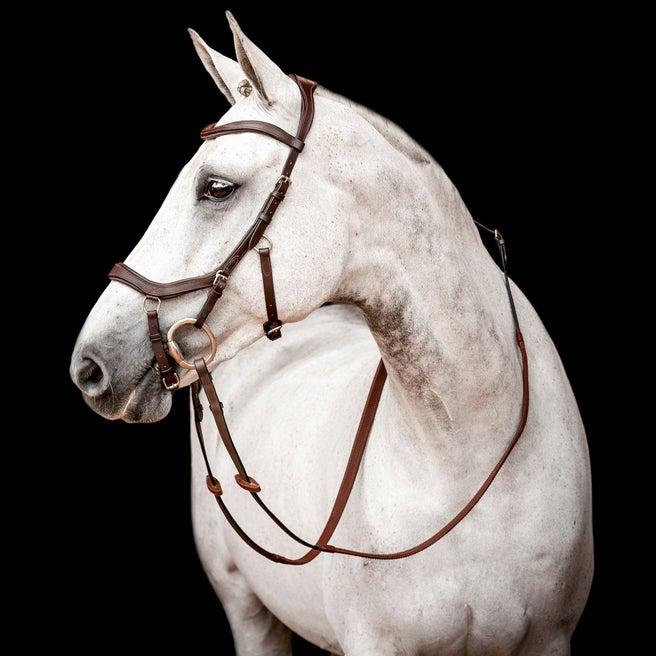 Micklem Bridles Buying Guide