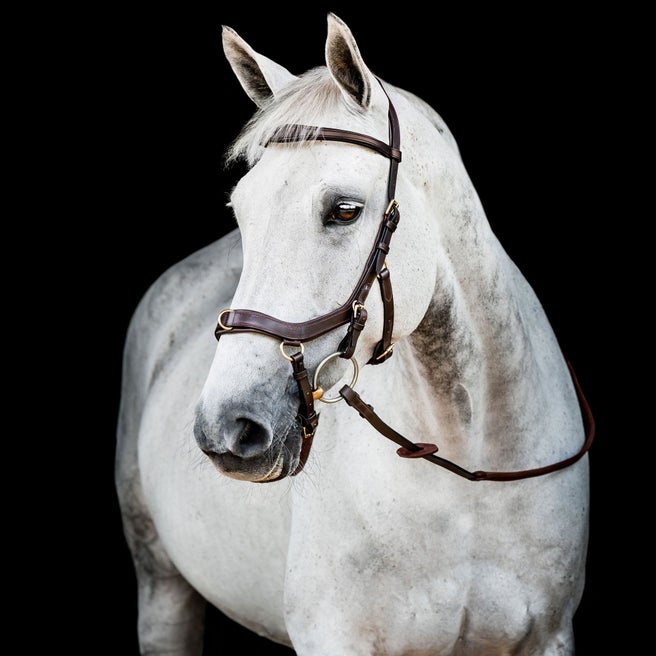 Micklem Bridles Buying Guide