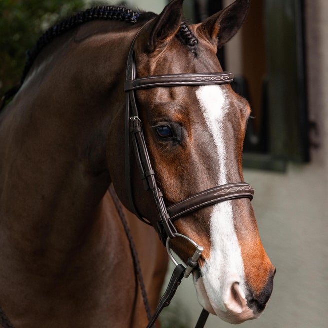 Best English Bridles