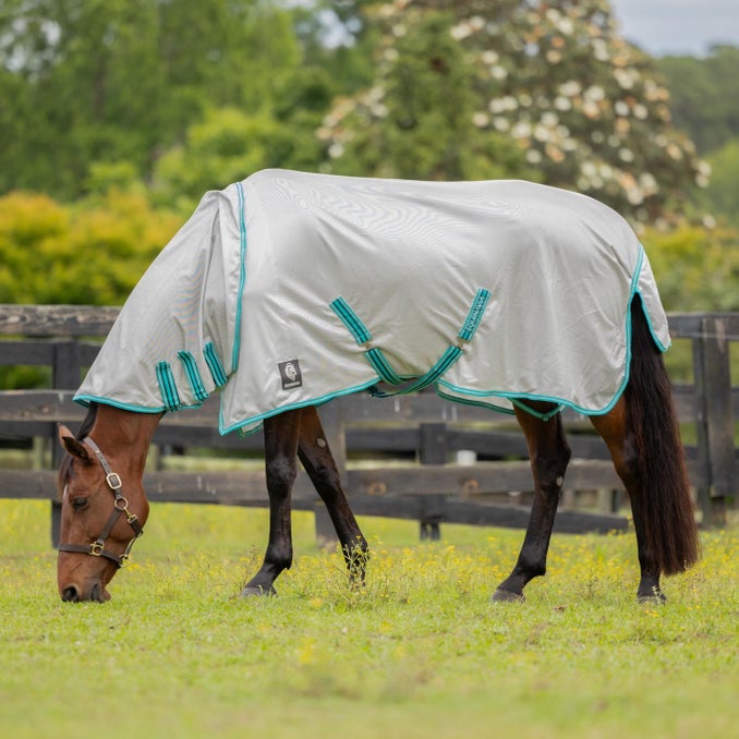 Horse Fly Sheets - Riding Warehouse