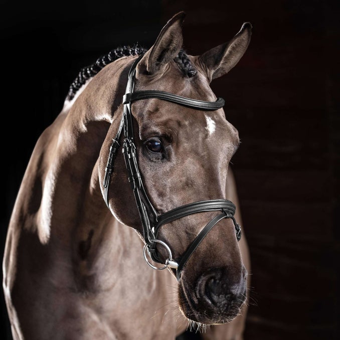English Dressage Bridles - Riding Warehouse