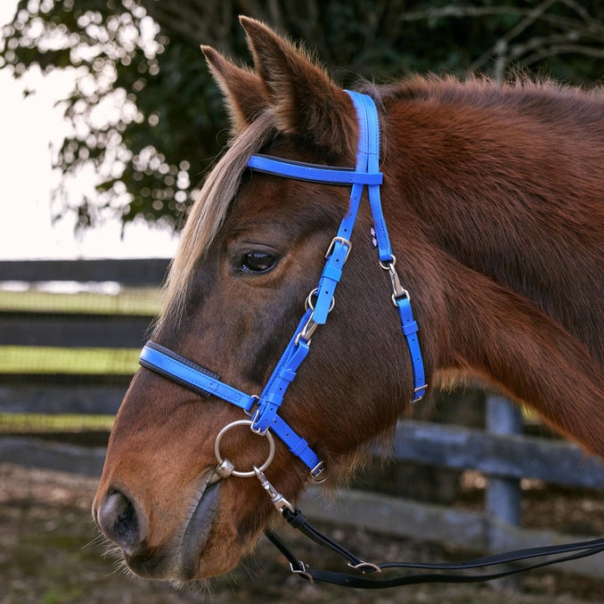 Halter Bridle Combinations - Riding Warehouse