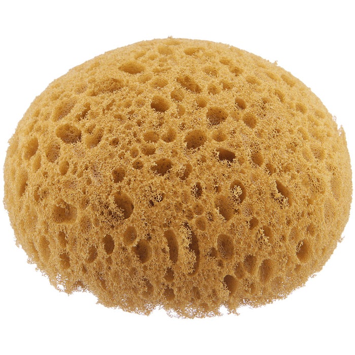 Hydra Sponge Honeycomb Tack Sponge - Riding Warehouse