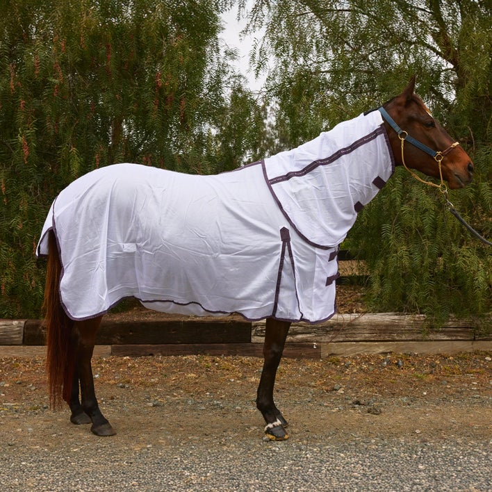 Horse Fly Sheets - Riding Warehouse