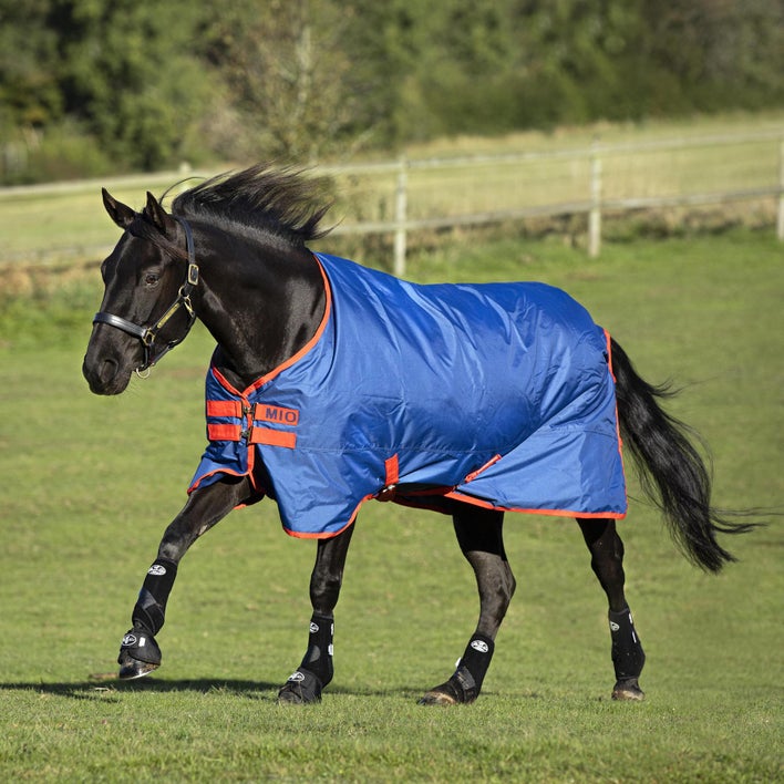Clearance Turnouts & Stable Blankets - Riding Warehouse