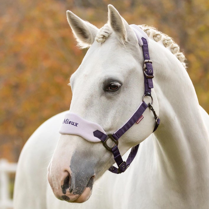 LeMieux Horse Halters & Lead Ropes - Riding Warehouse