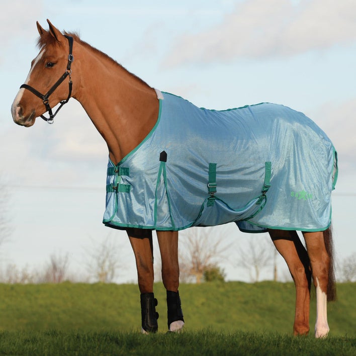 Horse Standard Neck Fly Sheets - Riding Warehouse