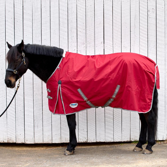 Clearance Turnouts & Stable Blankets - Riding Warehouse