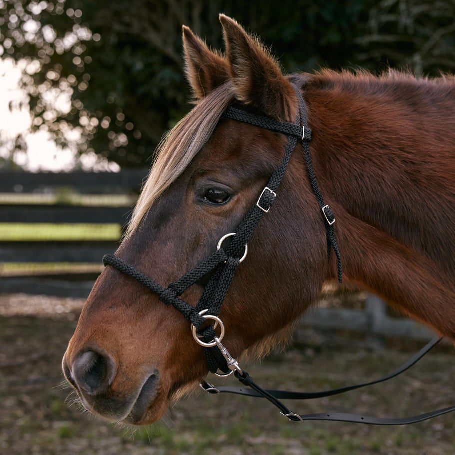 RJ Manufacturing Sidepull Bitless Trail Bridle Nickel | Riding Warehouse