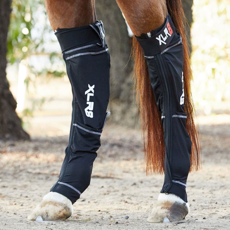 XLR8 Cryotherapy Ice+Compression Hind Boots | Riding Warehouse