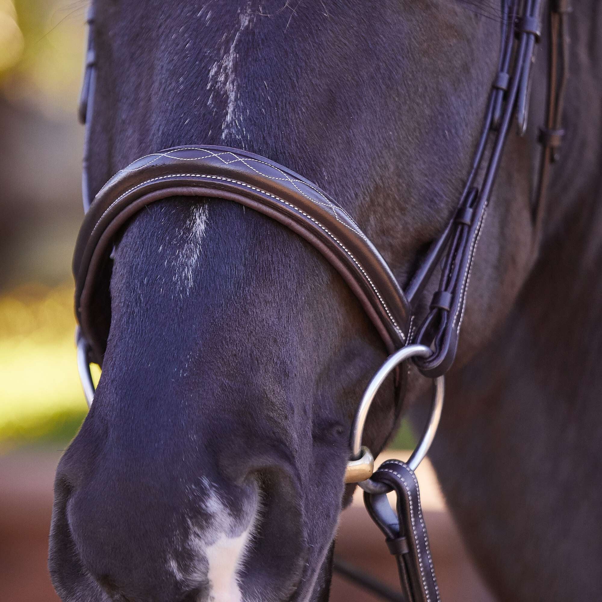 Bobby's Tack Fancy Stitched Padded Wide Noseband Bridle - Riding Warehouse