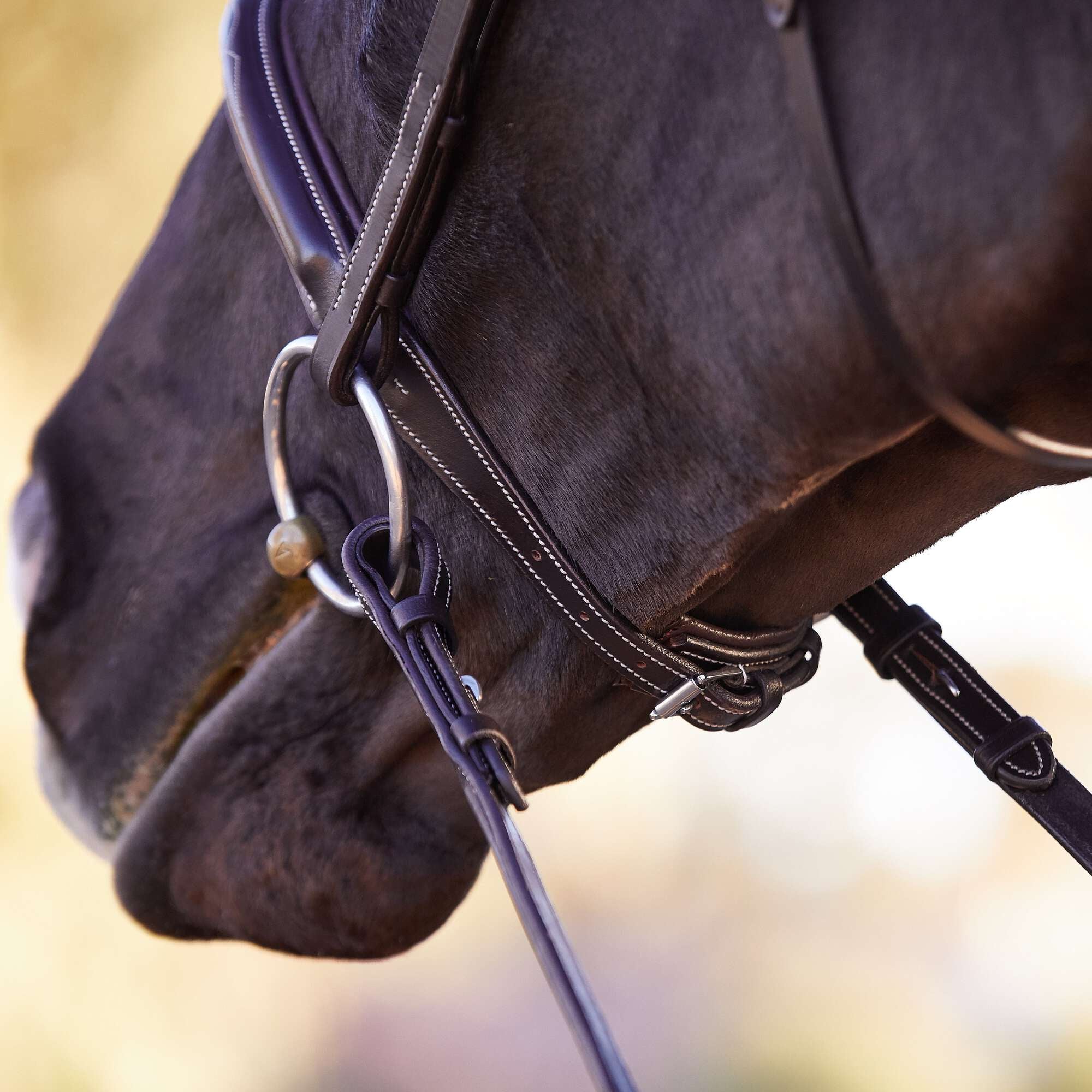Bobby's Tack Fancy Stitched Padded Wide Noseband Bridle - Riding Warehouse