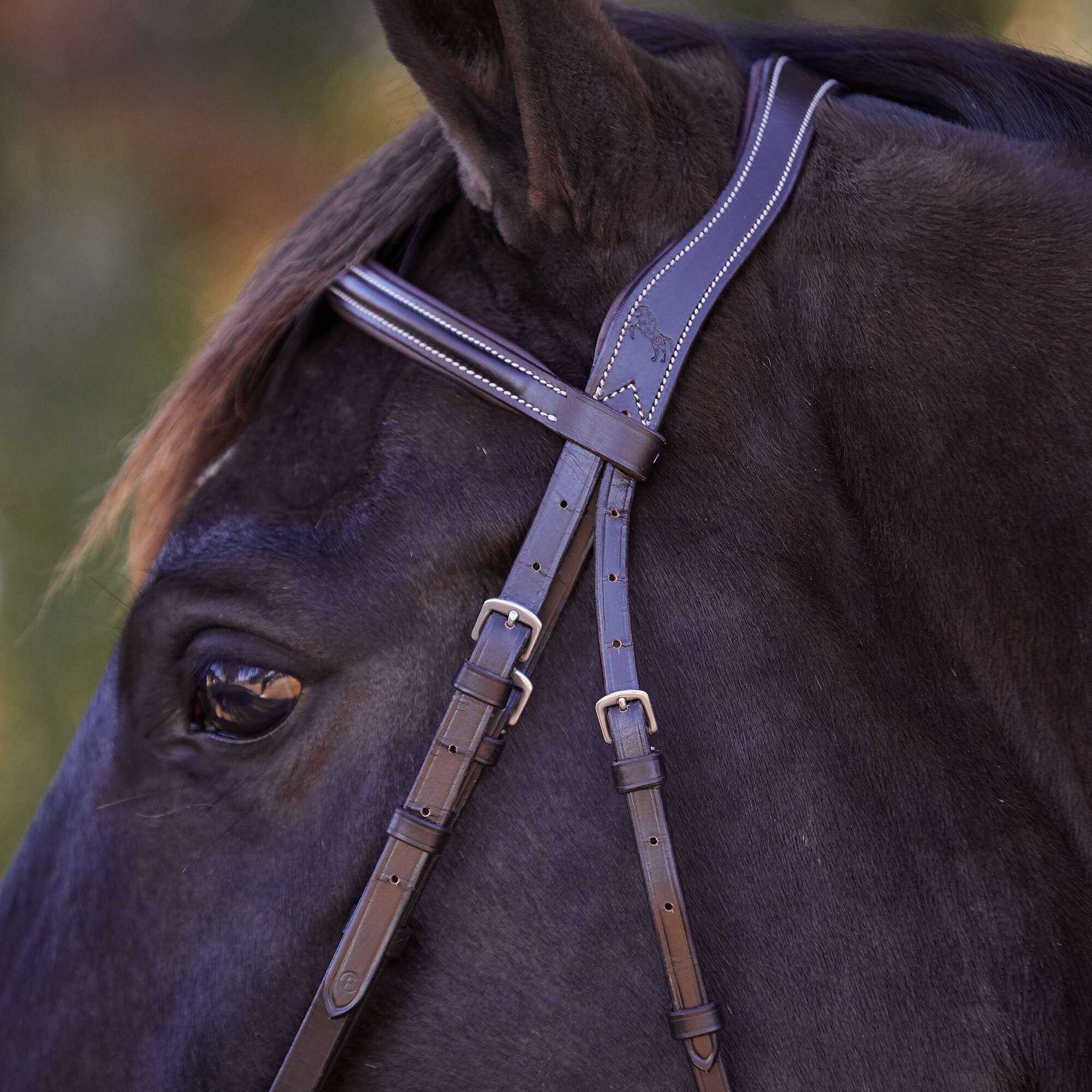 Bobby's Tack Fancy Stitched Padded Wide Noseband Bridle - Riding Warehouse