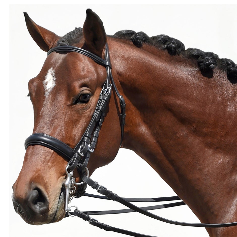 Bobby's Tack Padded Dressage Weymouth Double Bridle - Riding Warehouse