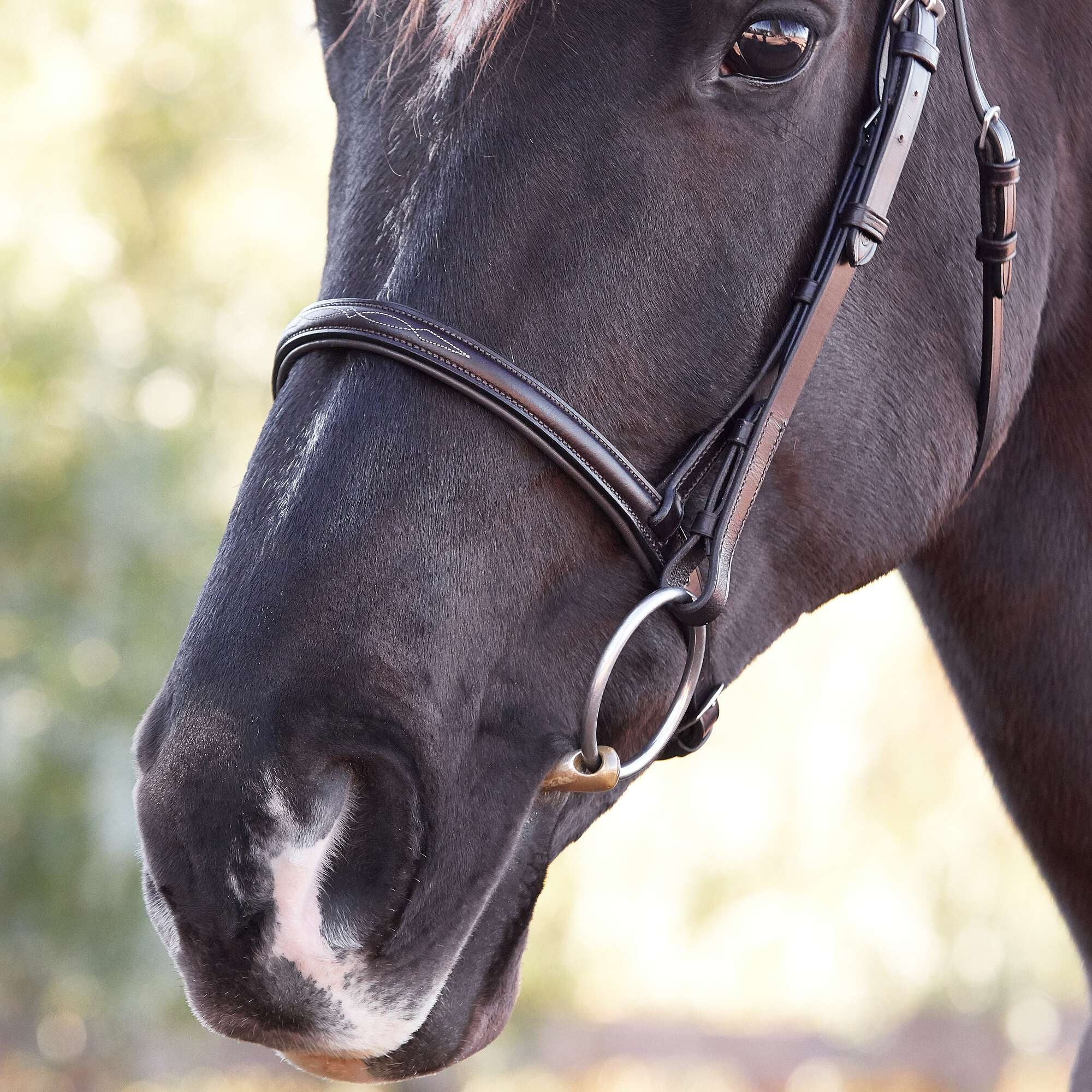 Bobby's Tack Fairhaven Fancy Raised Padded Bridle - Riding Warehouse