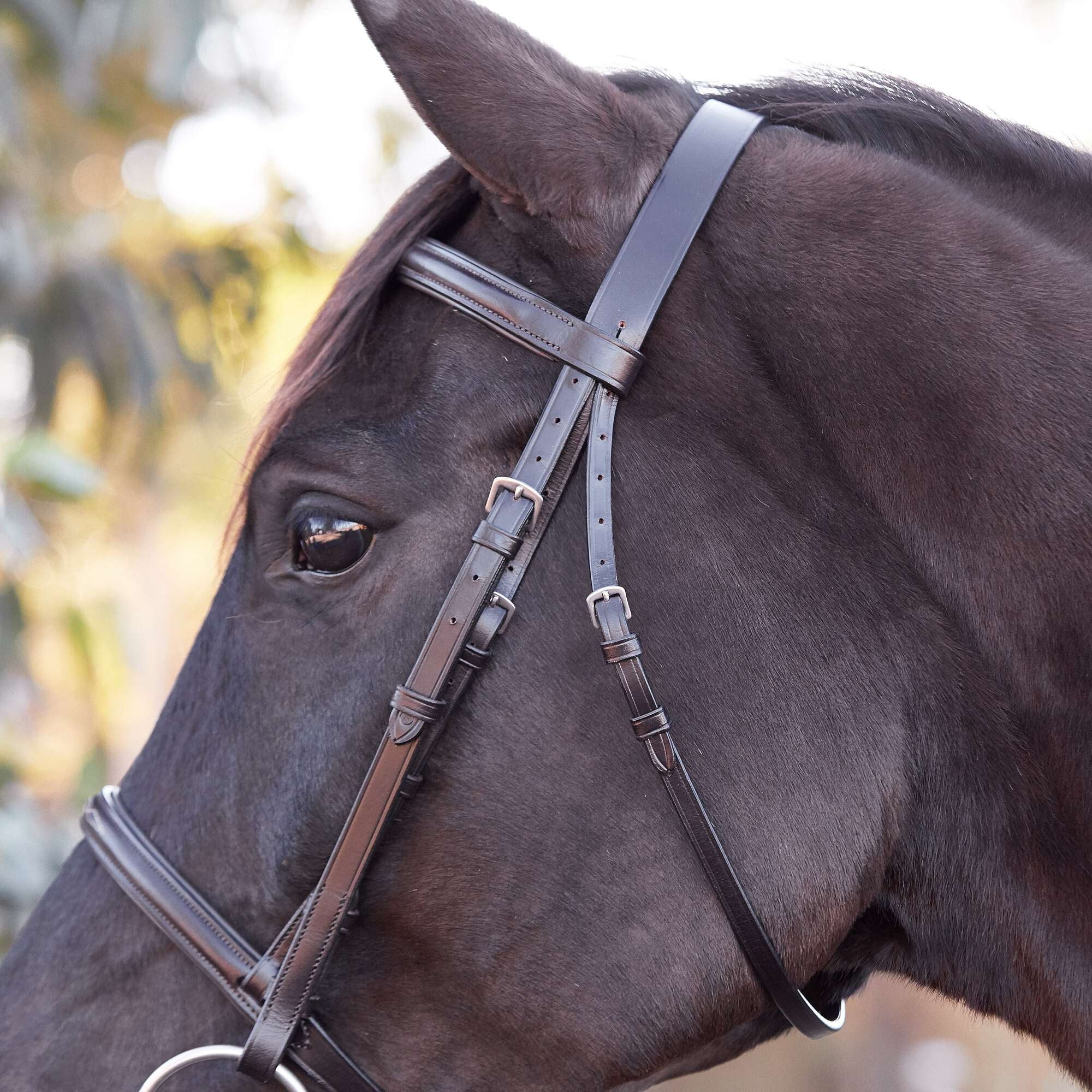 Bobby's Tack Fairhaven Fancy Raised Padded Bridle - Riding Warehouse