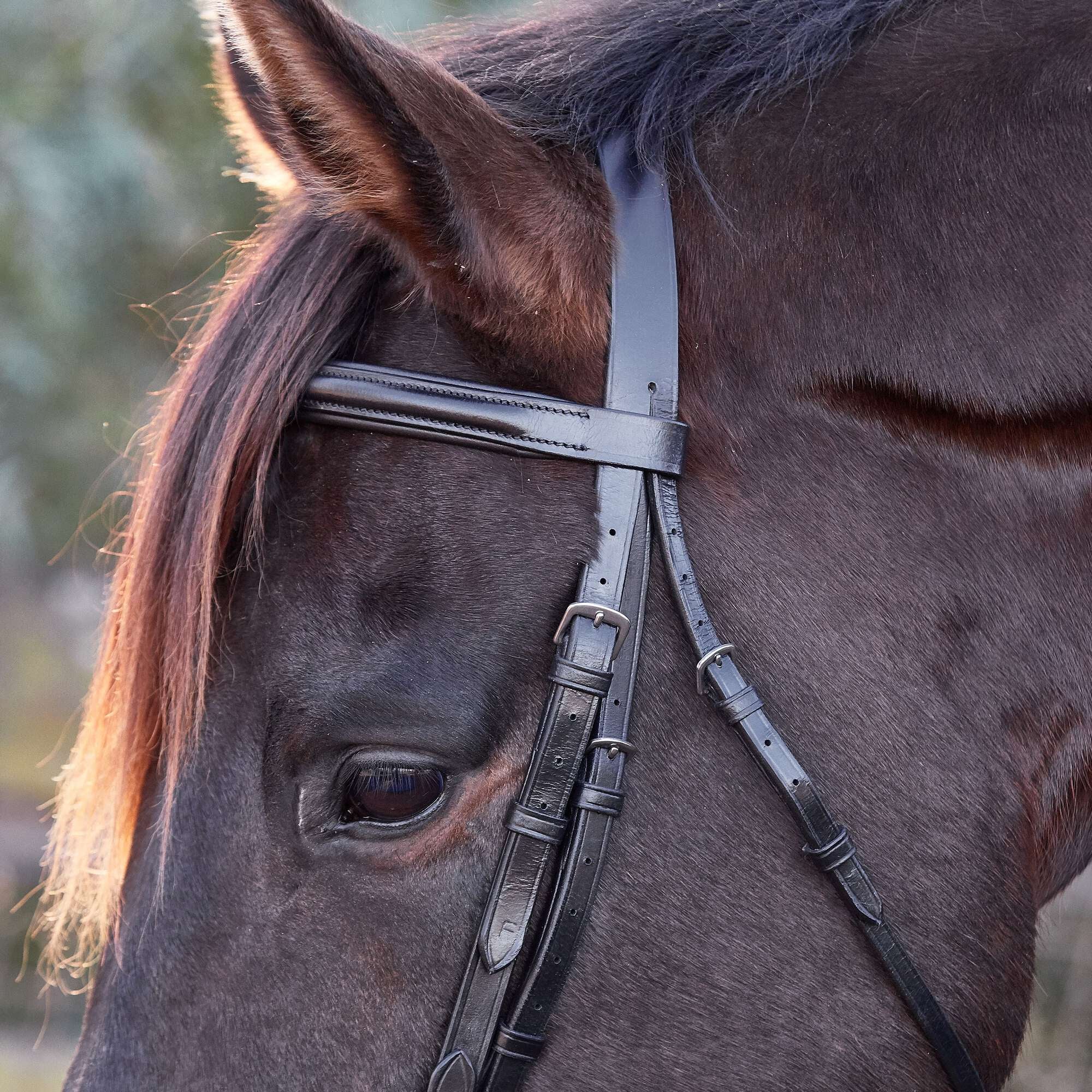 Bobby's Tack Fairhaven Plain Raised Padded Flash Bridle - Riding Warehouse