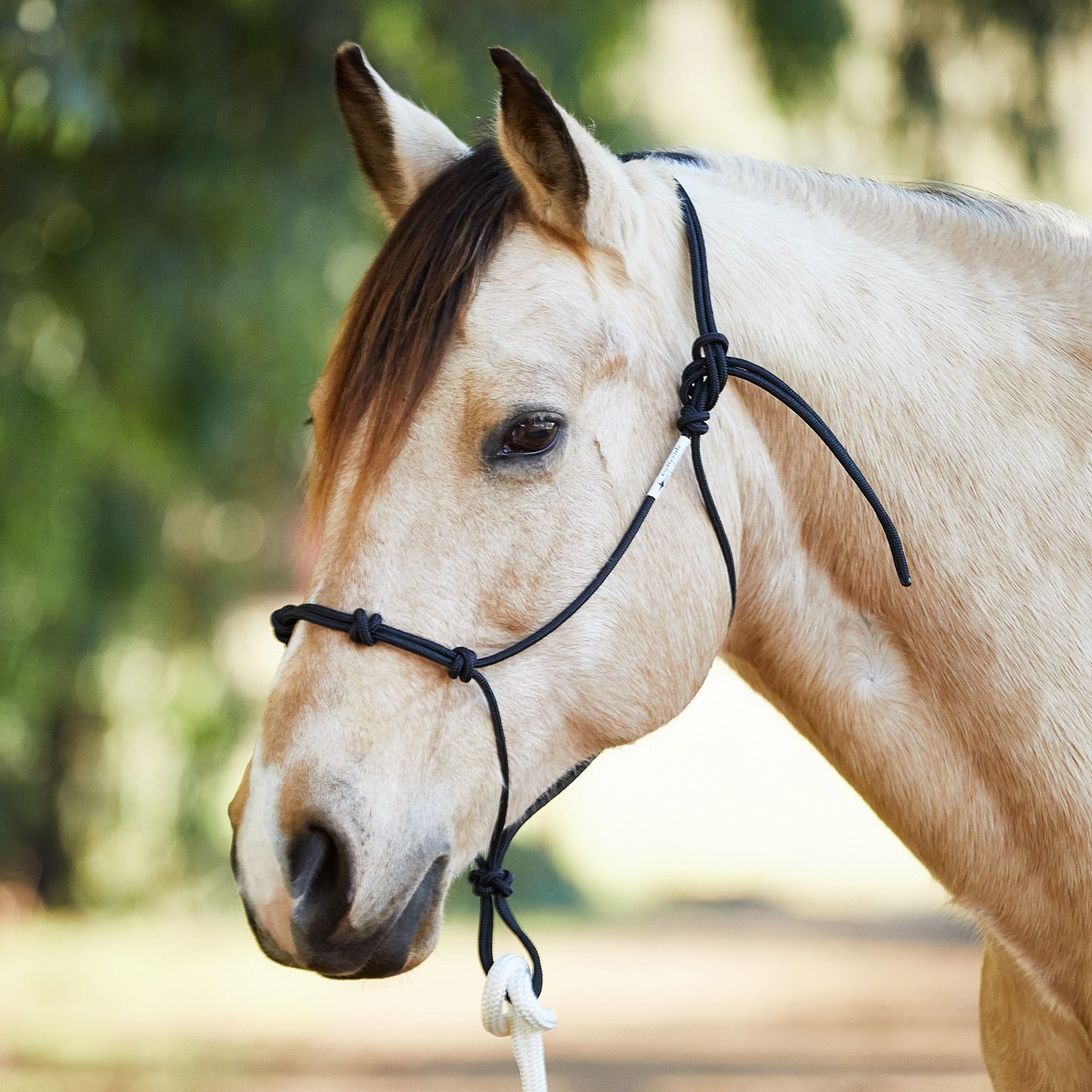 Knotty Girlz 1/4" Stiff 4-Knot Poly Rope Halter - Riding Warehouse