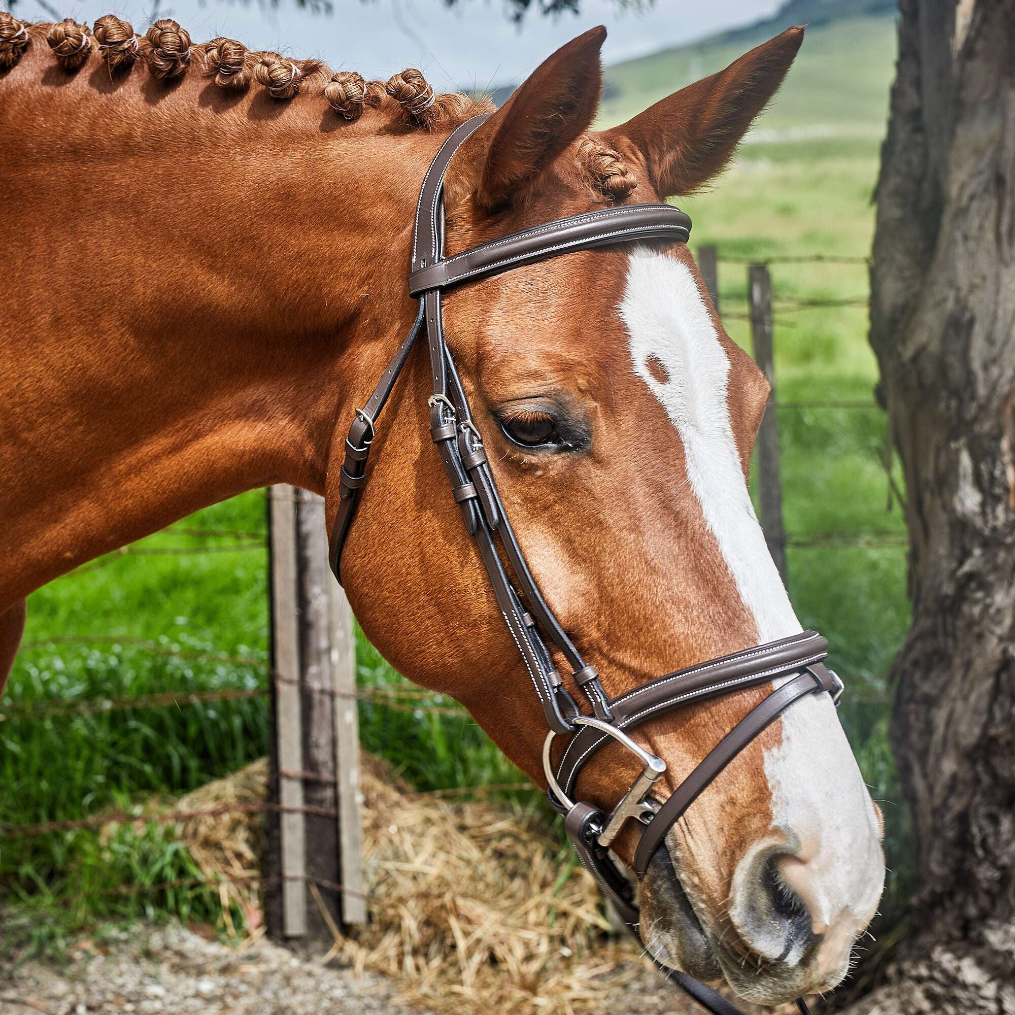 Henri De Rivel Monocrown Event Padded Snaffle Bridle - Riding Warehouse