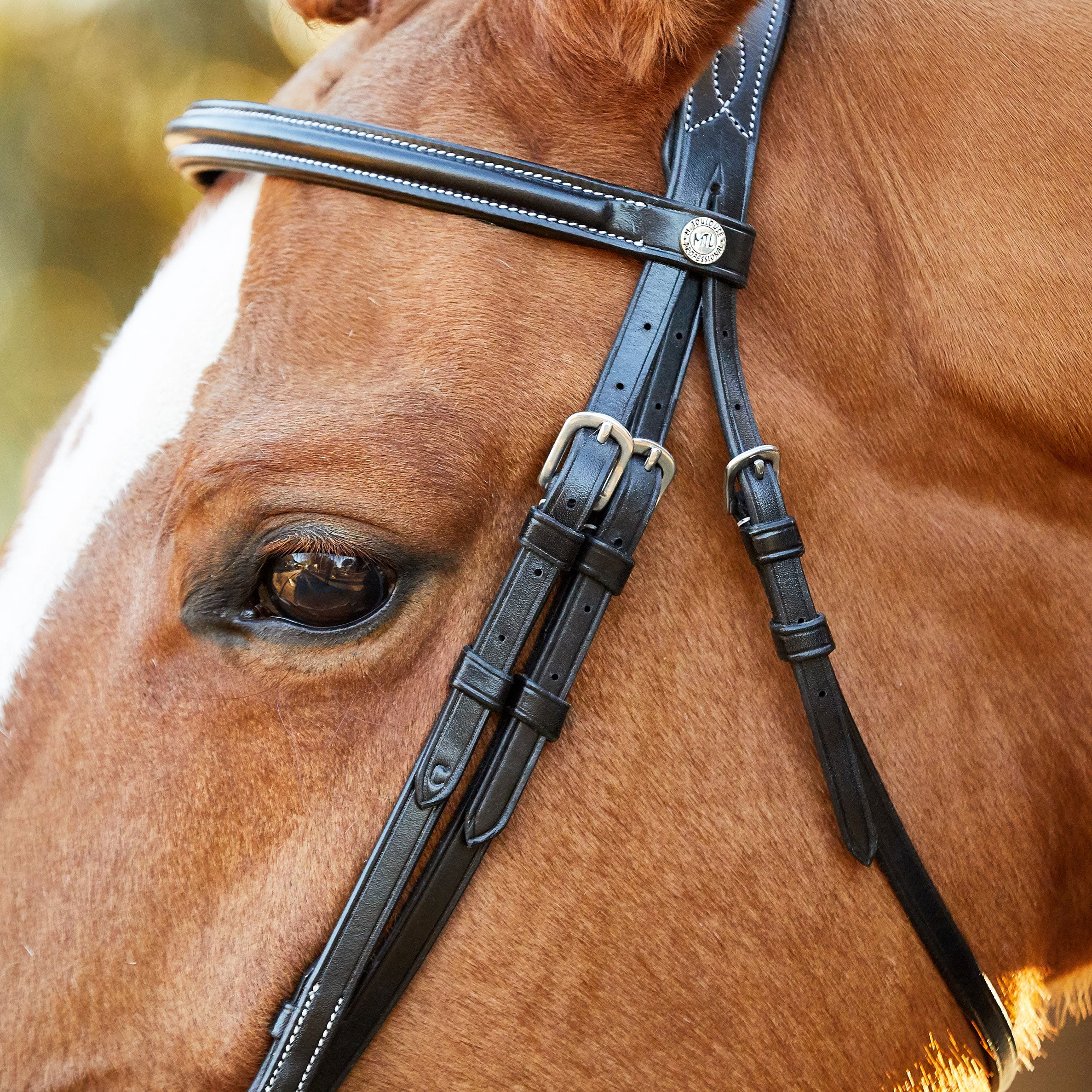 Marcel Toulouse 3B3 Hybrid Dressage Anatomical Bridle - Riding Warehouse