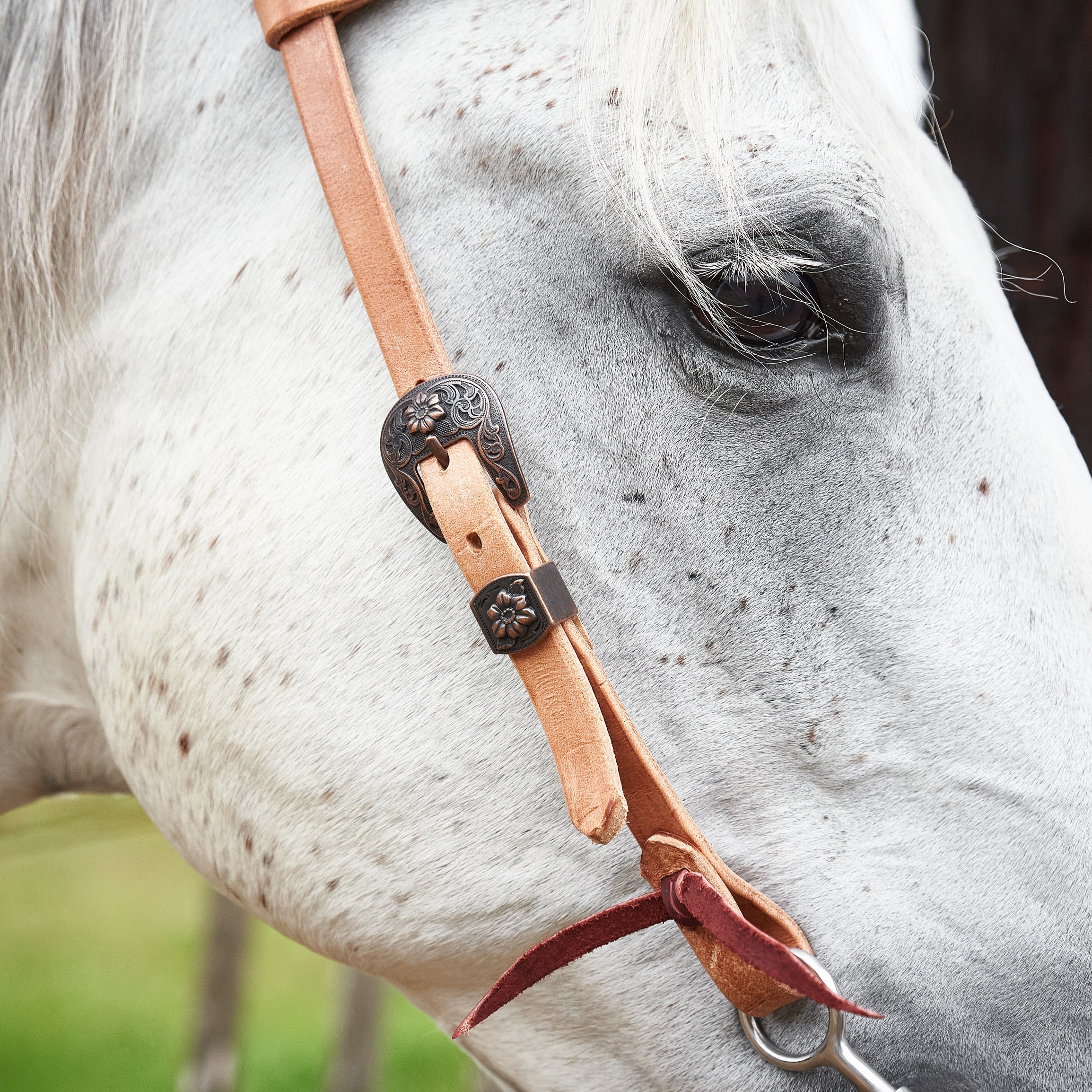 Berlin Hermann Oak One Ear Headstall w/Tie - Riding Warehouse