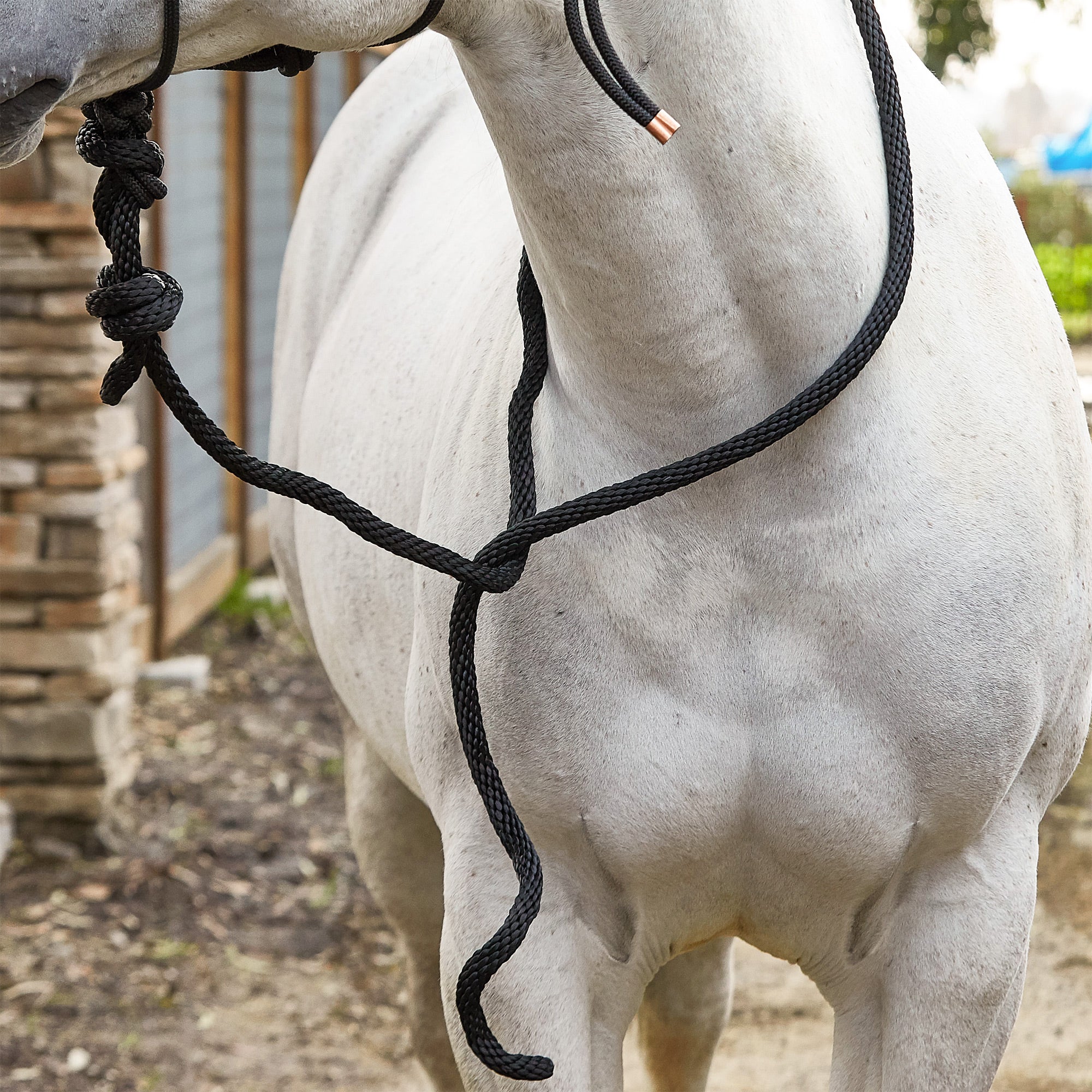 Professional's Choice Beaded Rope Halter & Leadrope - Riding Warehouse