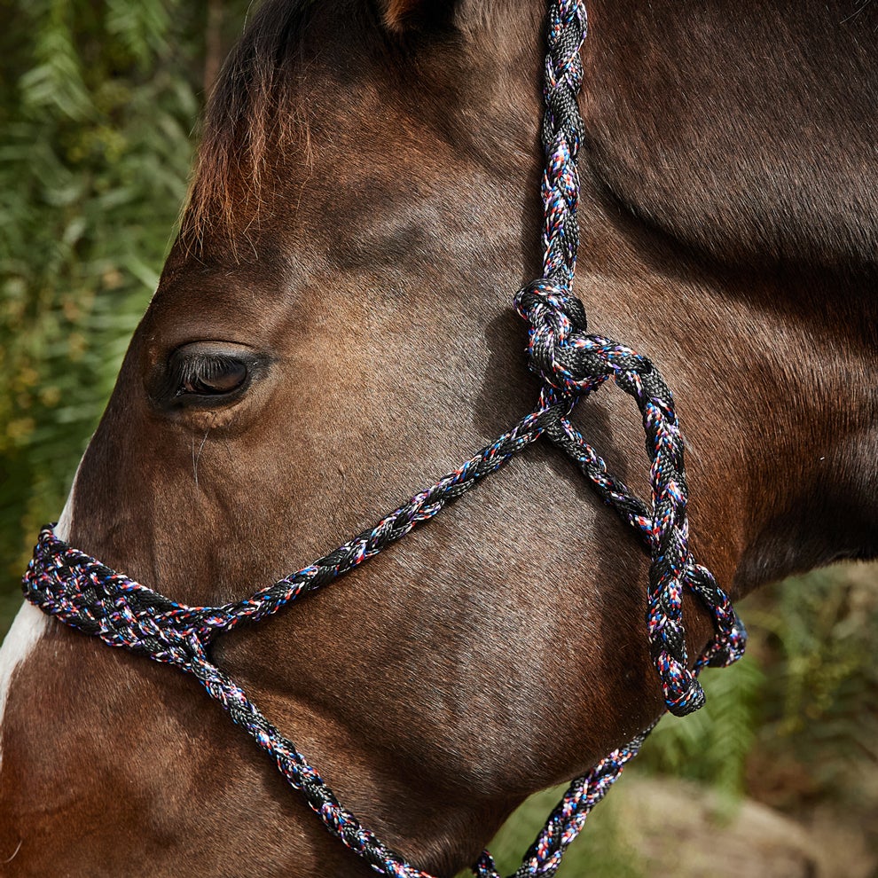 Tough 1 Braided Mule Tape Rope Halter w/Lead - Riding Warehouse