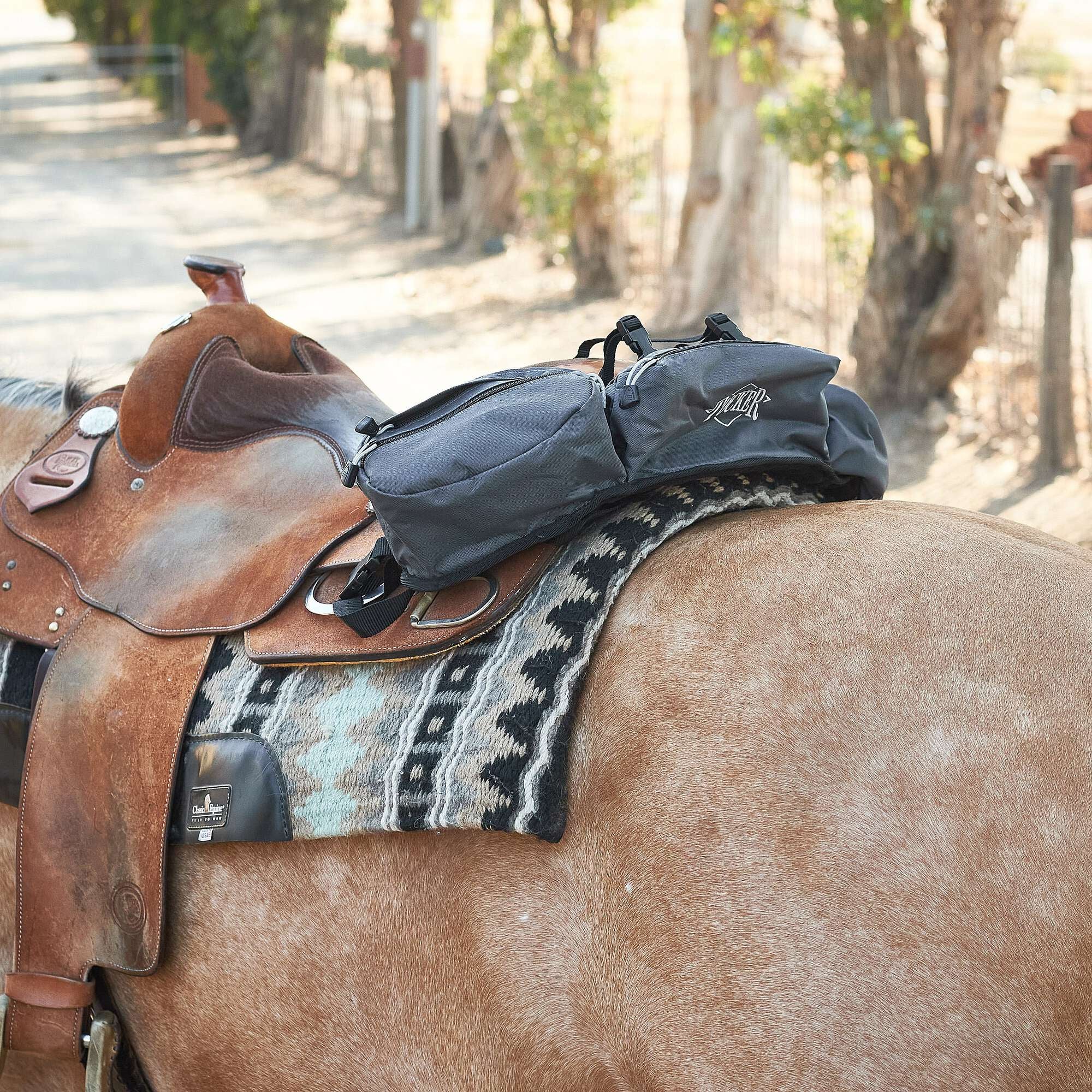 Tucker Day Tripper Cantle Bag - Riding Warehouse