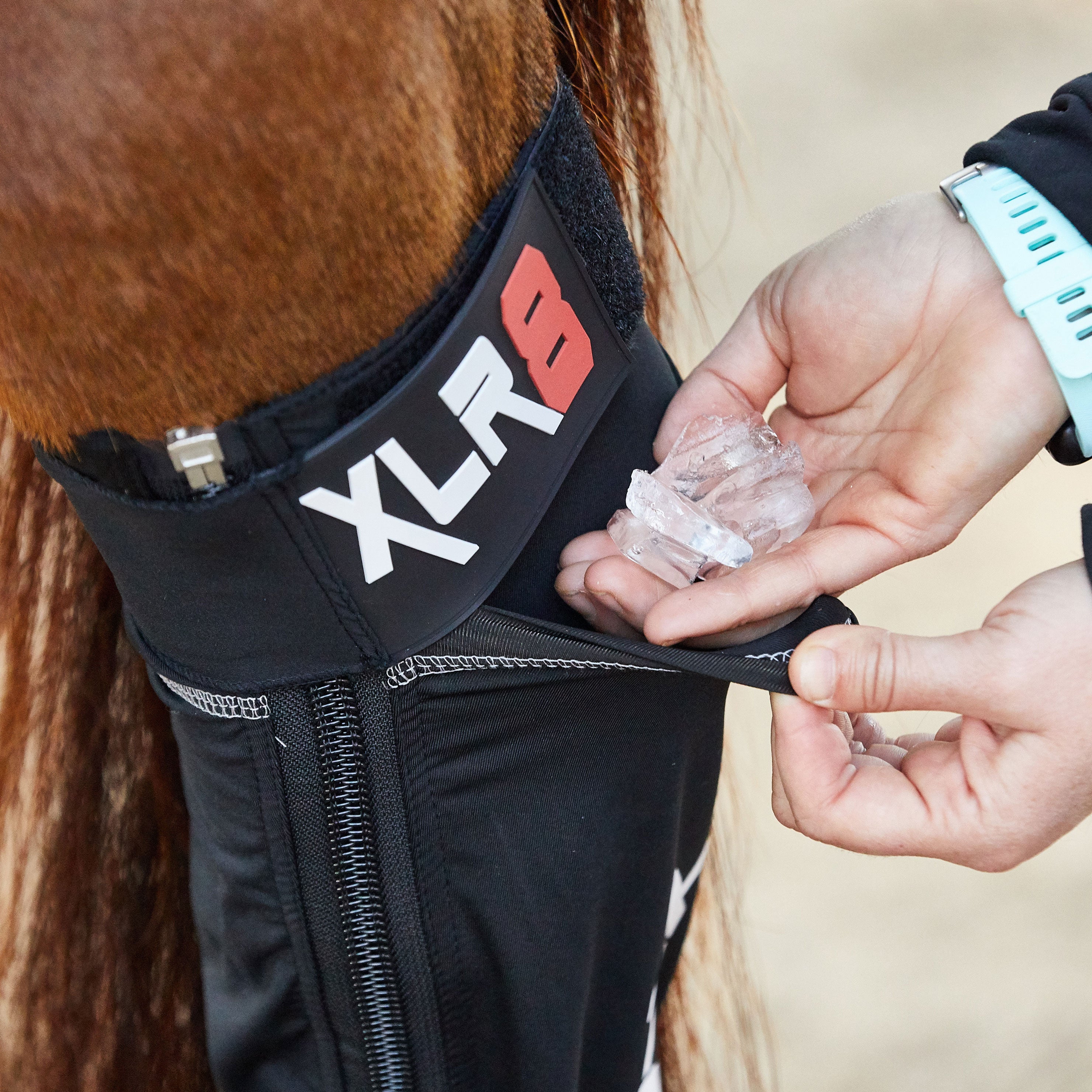 XLR8 Cryotherapy Ice+Compression Hind Boots - Riding Warehouse