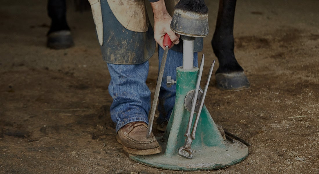 Hoof Care - Riding Warehouse