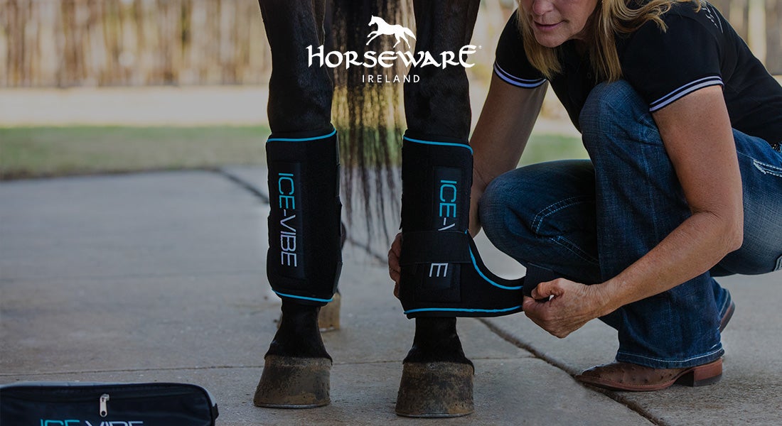 Horse Cryotherapy & Ice Therapy - Riding Warehouse