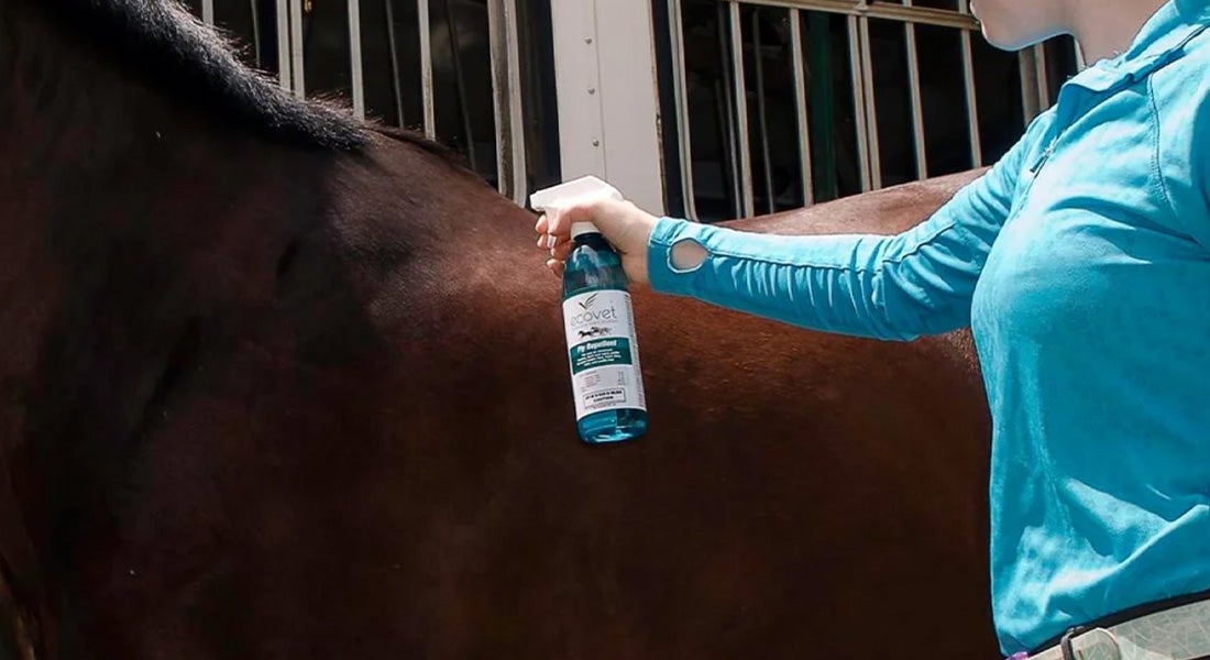 Fly Sprays & Pest Repellents - Riding Warehouse