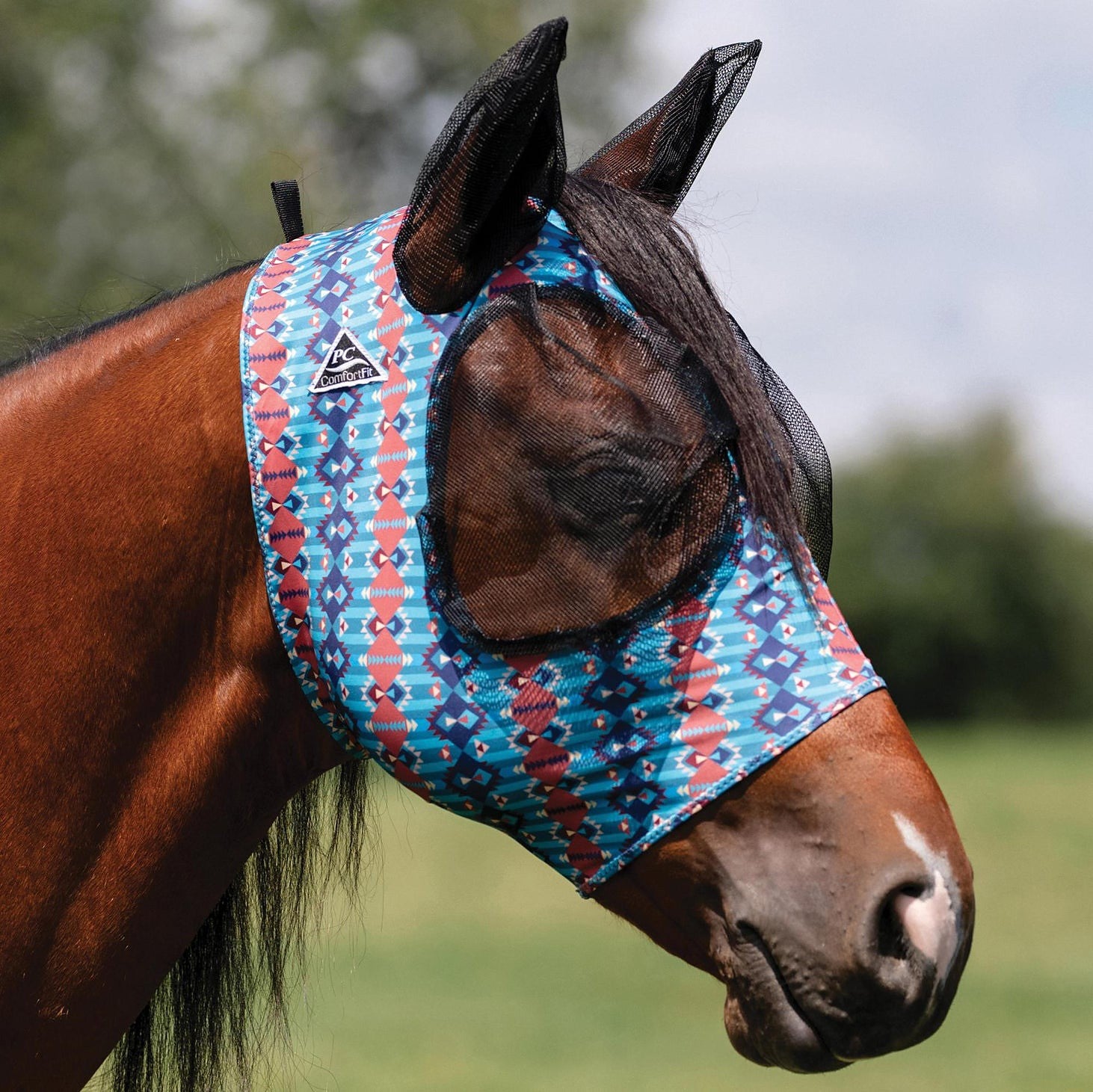 Best Horse Fly Masks of 2025 | Riding Warehouse