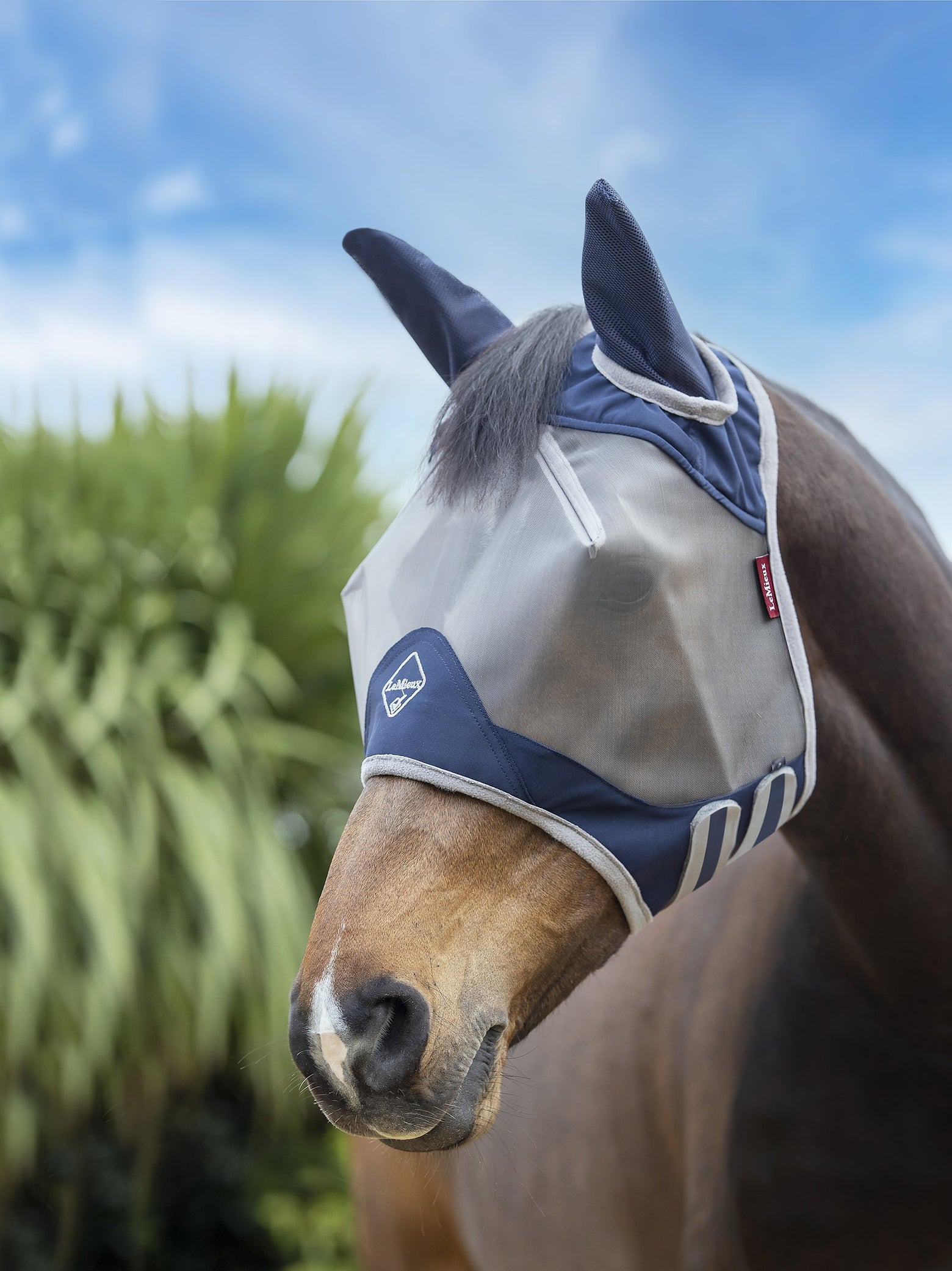 Best Horse Fly Masks of 2025 | Riding Warehouse