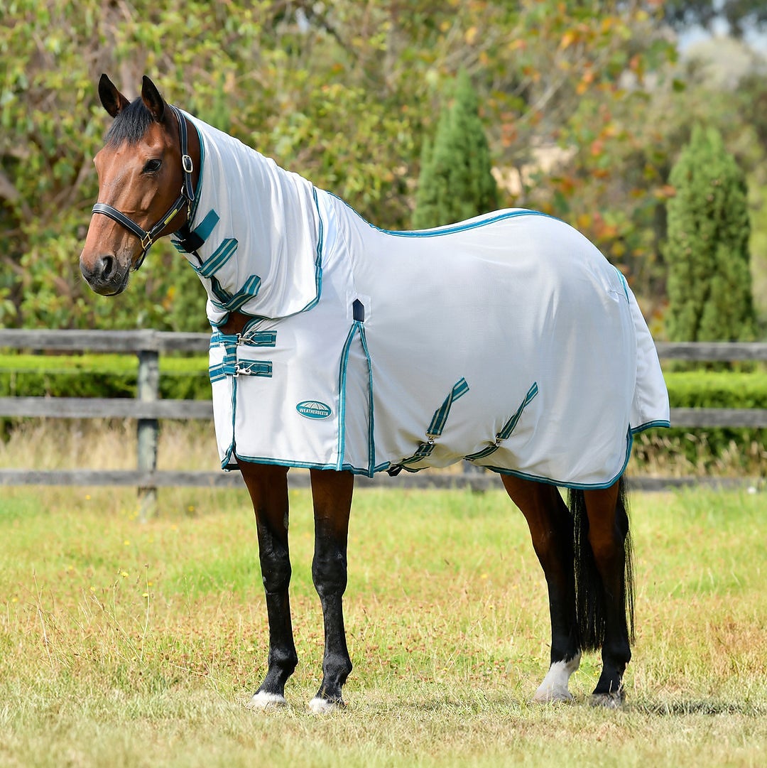 Best Horse Fly Sheets of 2025 | Riding Warehouse