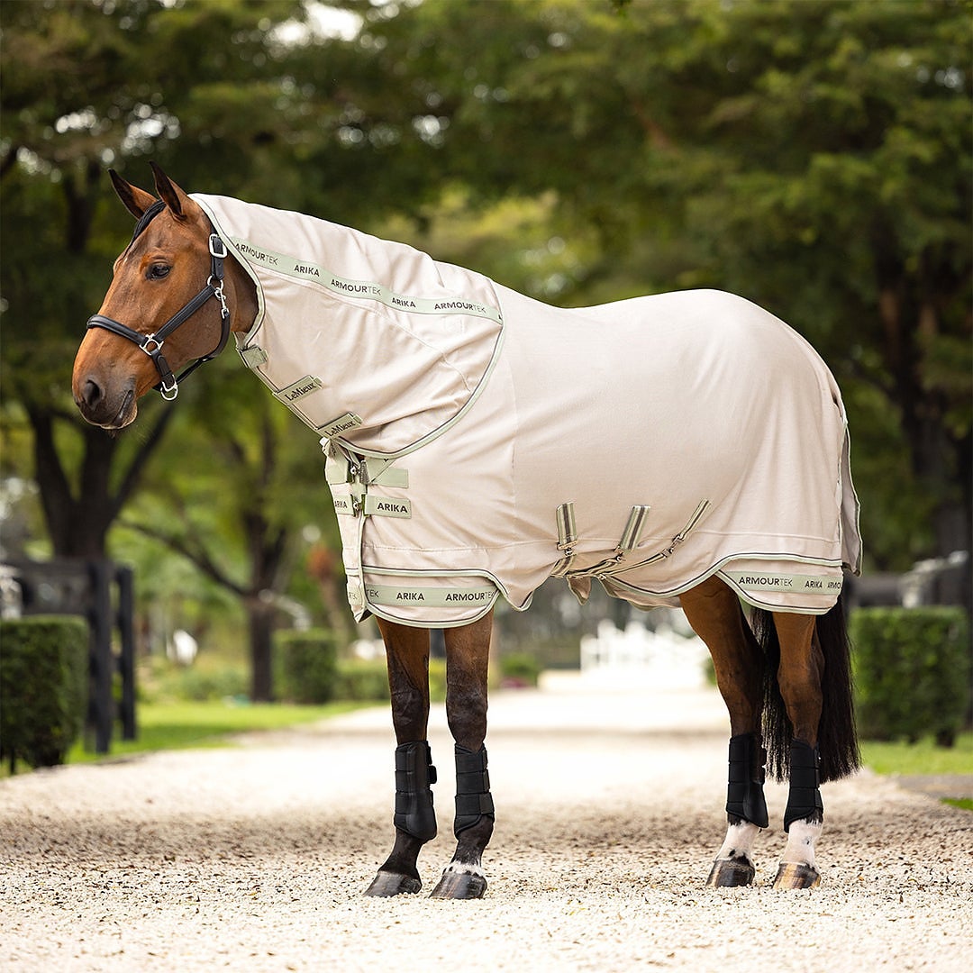Best Horse Fly Sheets of 2025 | Riding Warehouse