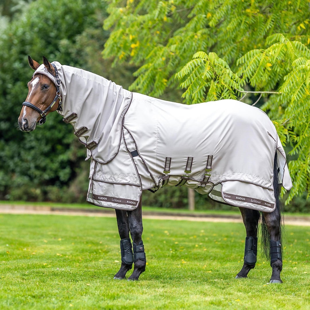 Best Horse Fly Sheets of 2025 | Riding Warehouse