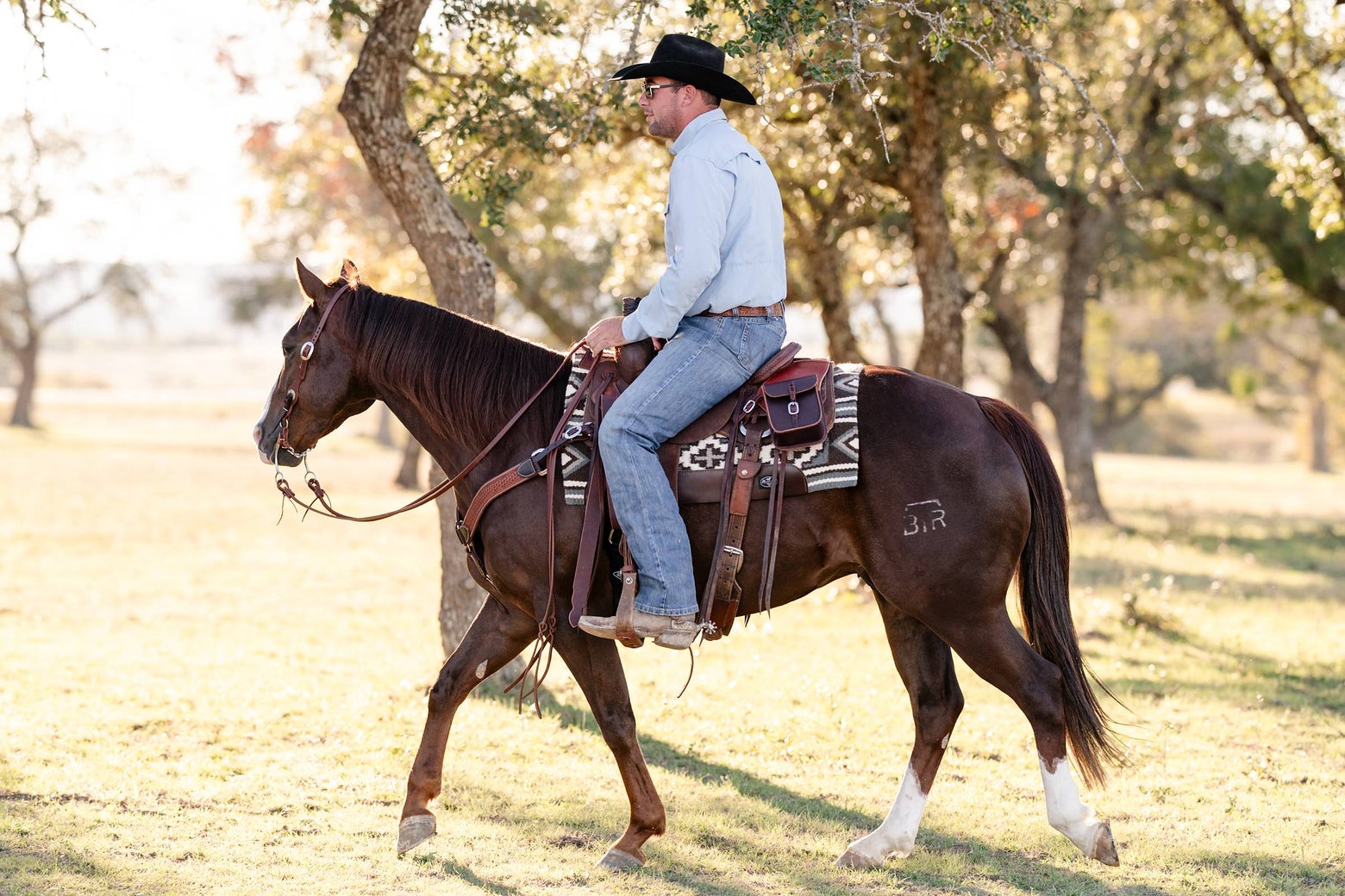 Western Saddles: A Complete Guide | Riding Warehouse