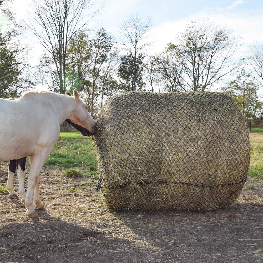 The Best Slow Feeders for Horses | Riding Warehouse