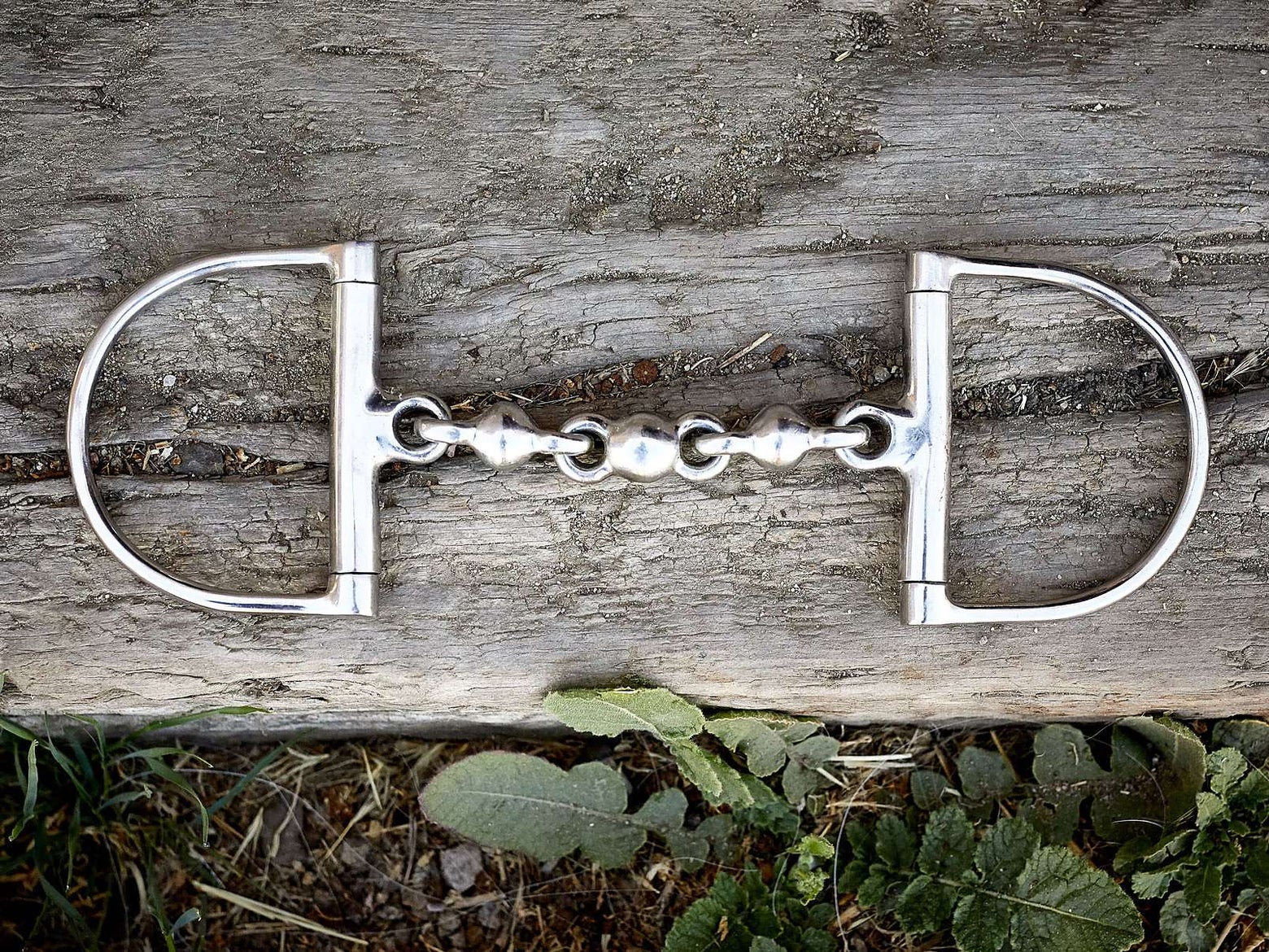 Types of Bit Cheekpieces | Riding Warehouse