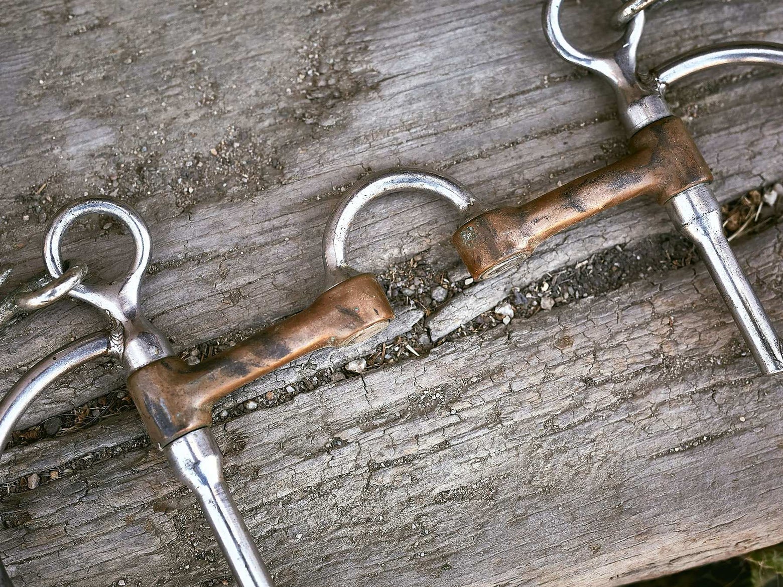 Types of Bit Mouthpieces | Riding Warehouse