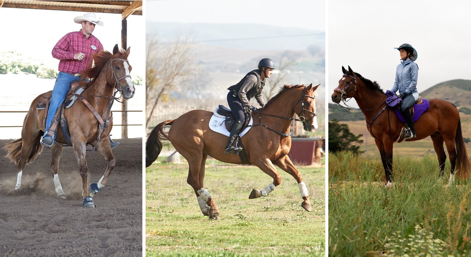 Horse Tack Vocabulary Terms | Riding Warehouse