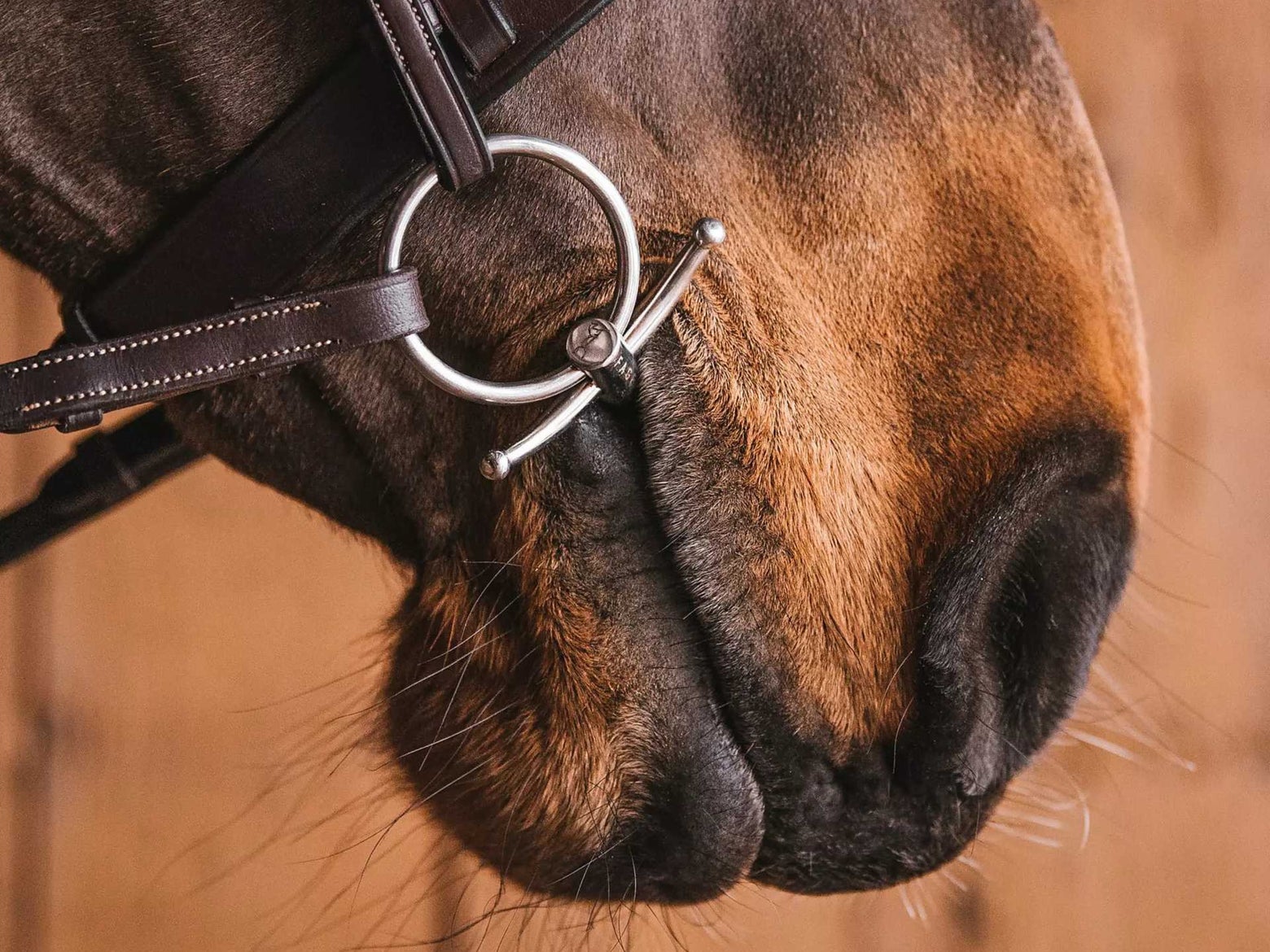 Fager Bit Buying Guide | Riding Warehouse